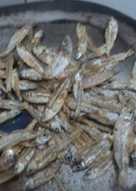 Charales - 28 recetas caseras - Cookpad