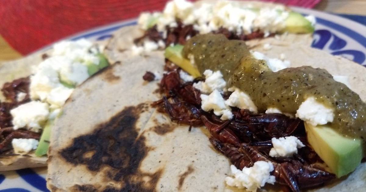 Chapulines - 11 recetas caseras - Cookpad