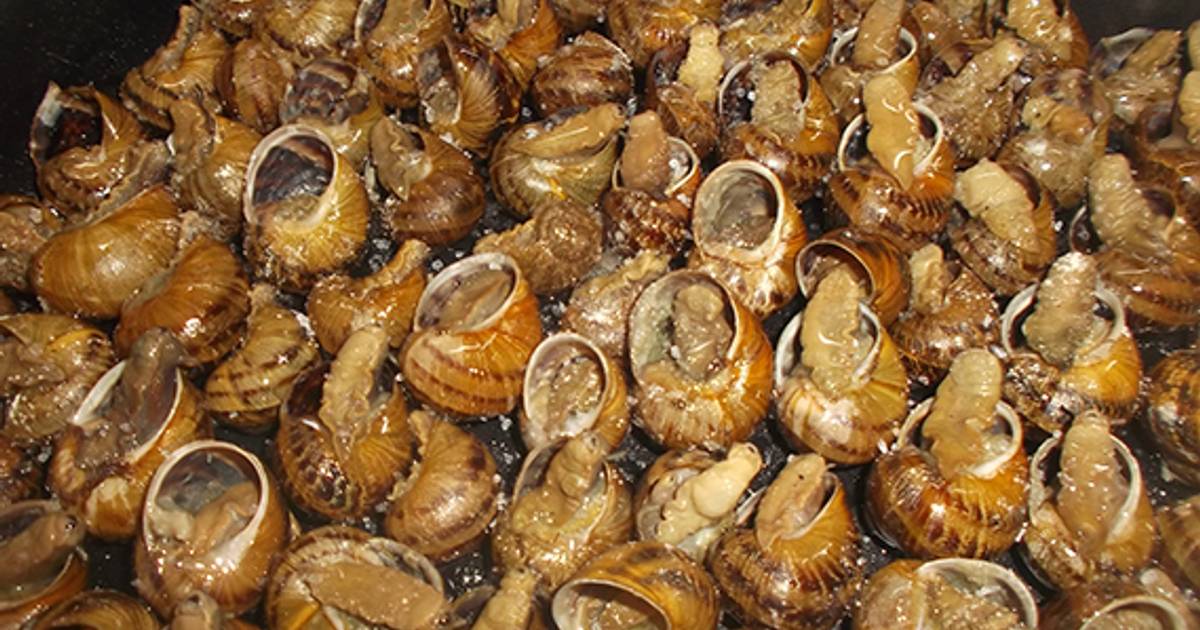Caracoles al horno - 23 recetas caseras - Cookpad
