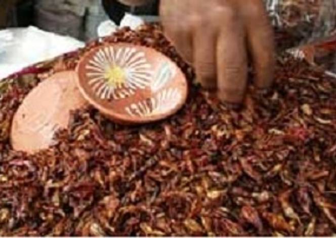 Salsa de jumiles Receta de fans-laura-esquivel - Cookpad