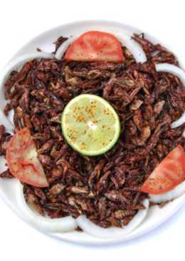 Chapulines - 8 recetas caseras - Cookpad