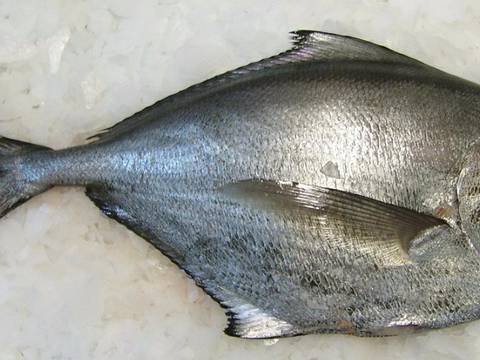 Reineta frita Receta de Fernando Lorca - Cookpad