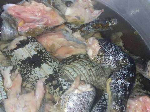Iguana en mole oaxaqueño Receta de MARIO RESENDIZ CALLEJAS - Cookpad