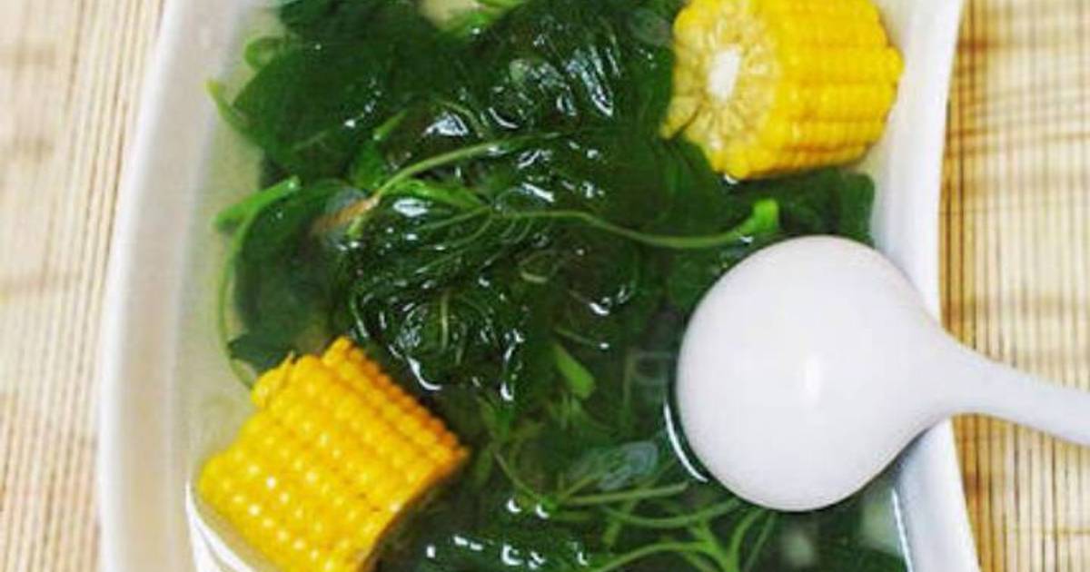 Sayur bayam bening - 219 resep - Cookpad