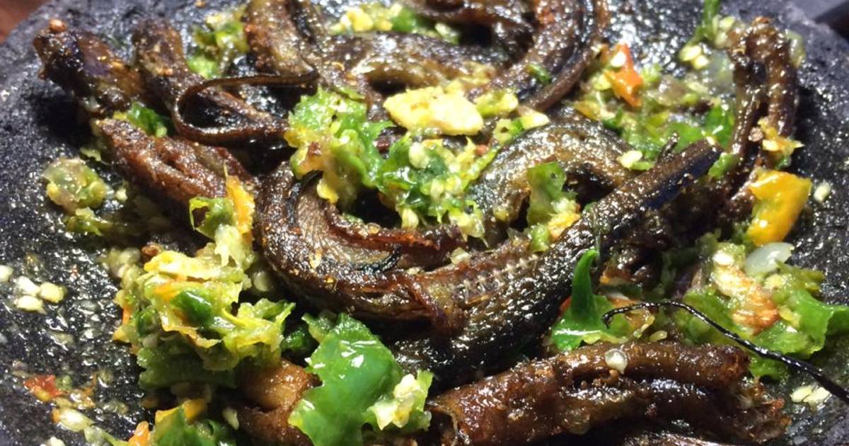 83 resep sambal belut enak dan sederhana - Cookpad