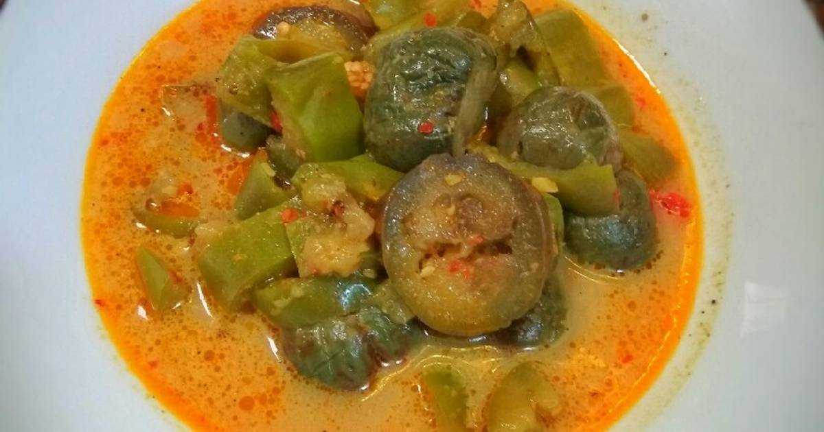 23 resep terong bulat ungu enak dan sederhana - Cookpad