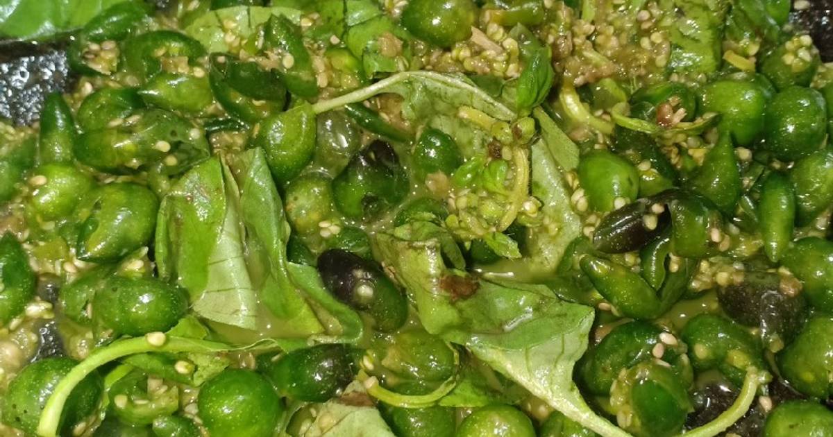 70 resep karedok leunca enak dan sederhana - Cookpad