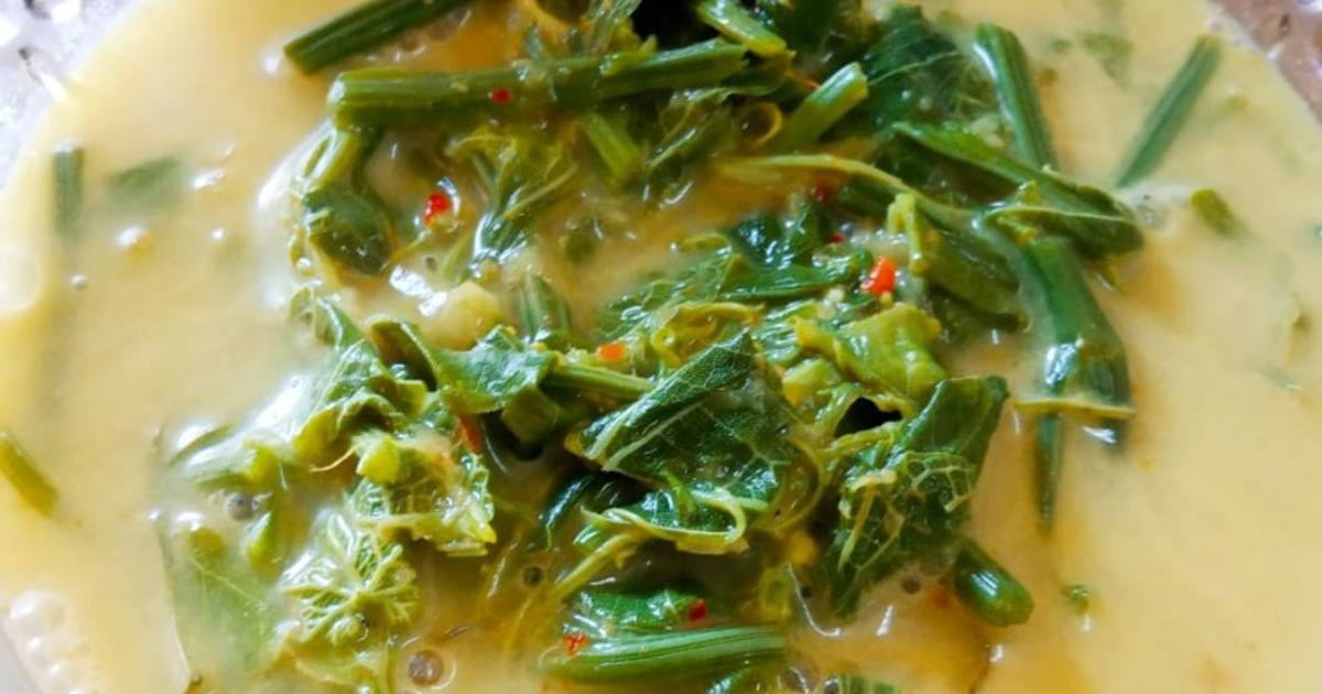 202 resep pucuk labu enak dan sederhana - Cookpad