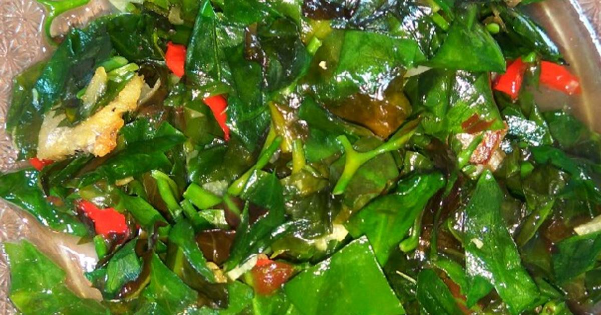 2.357 resep daun tangkil enak dan sederhana - Cookpad