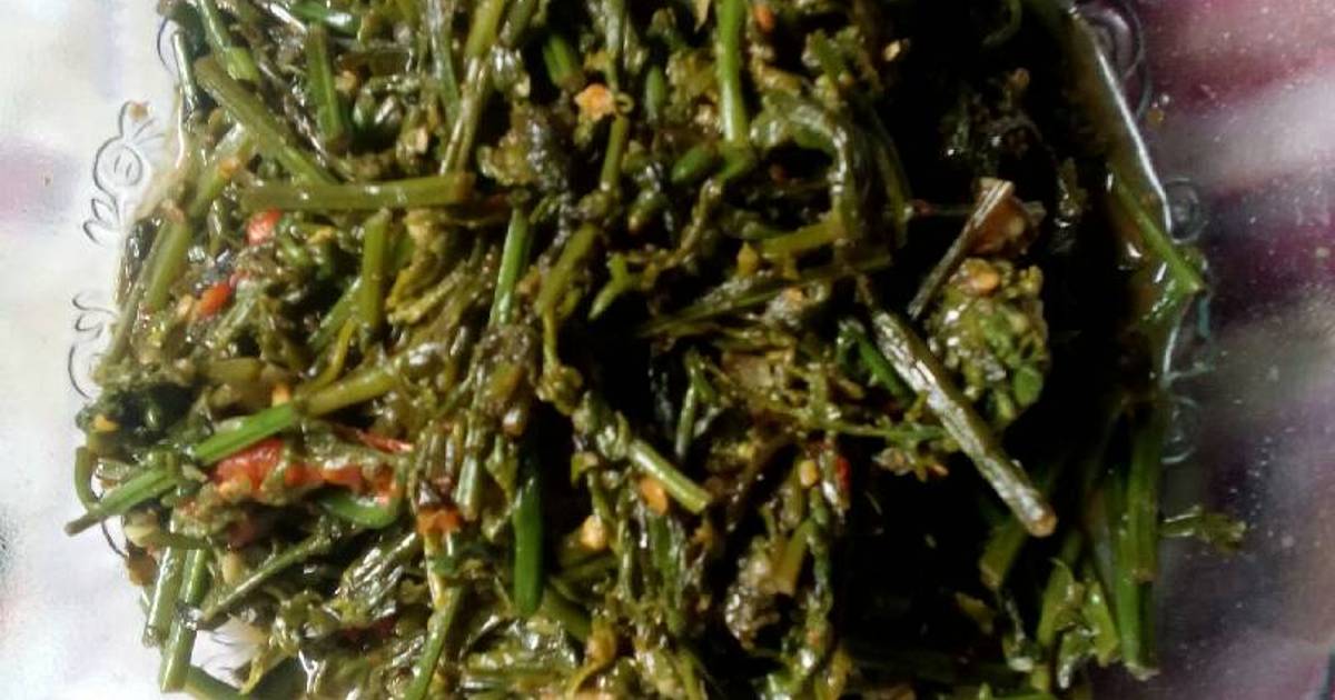 538 resep daun pakis enak dan sederhana - Cookpad