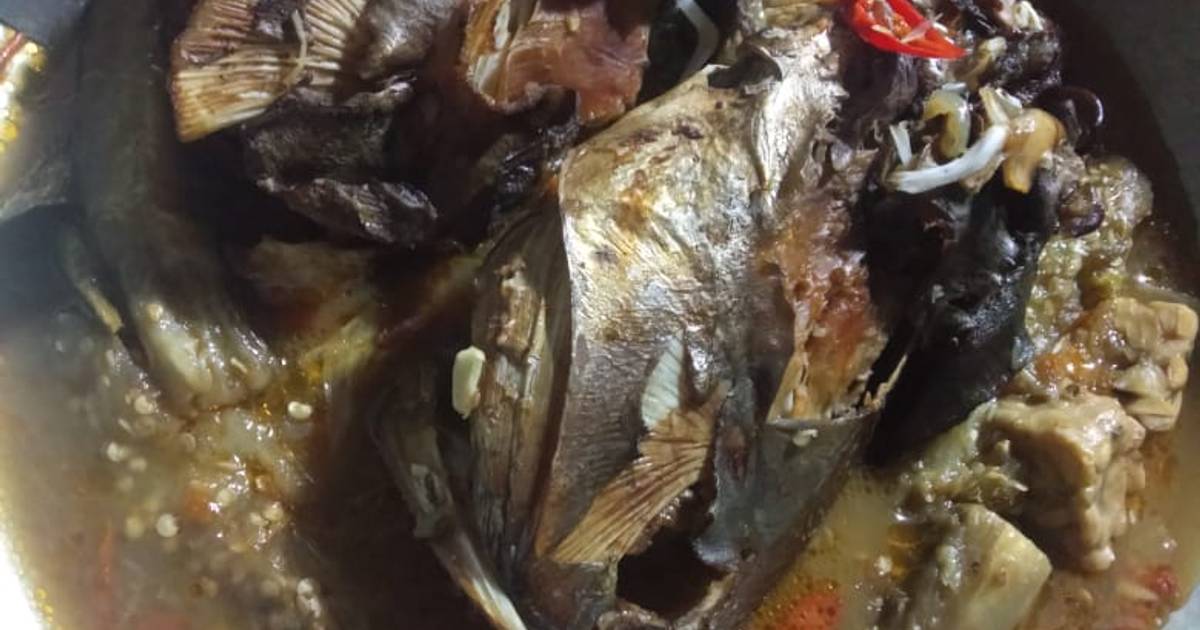 260 resep ikan manyung enak dan sederhana - Cookpad