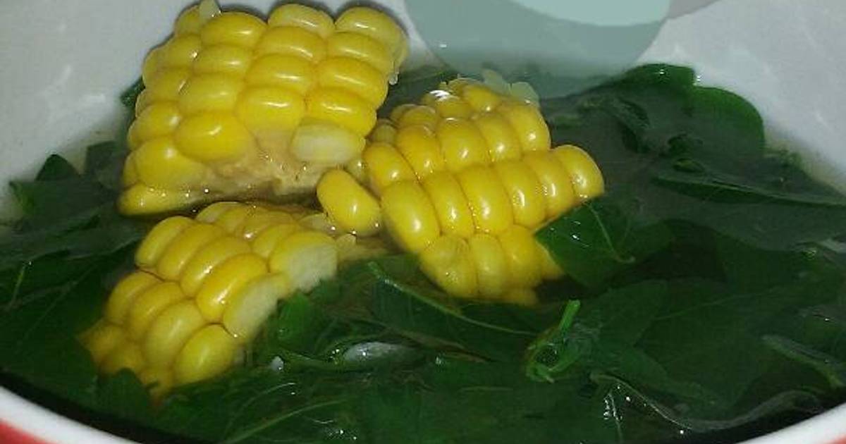 Daun katuk - 128 resep - Cookpad