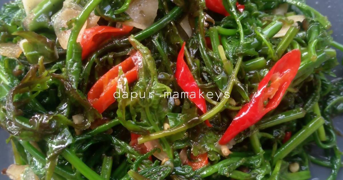 1.168 resep daun pakis enak dan sederhana - Cookpad