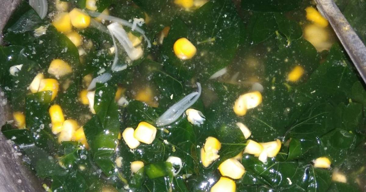 463 resep daun katuk enak dan sederhana - Cookpad