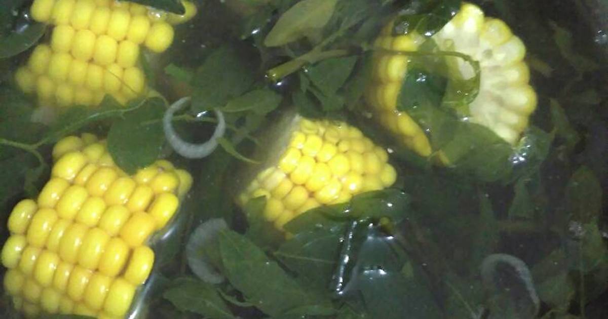 237 resep daun katuk enak dan sederhana - Cookpad