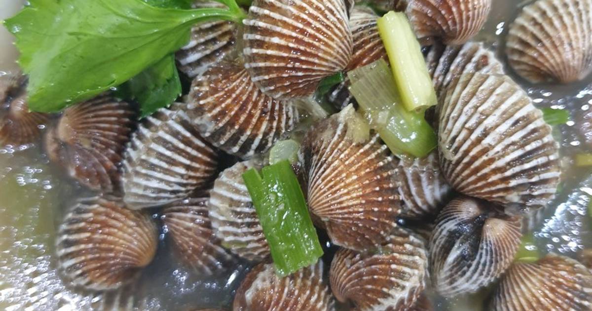 149 resep sup kerang enak dan sederhana - Cookpad