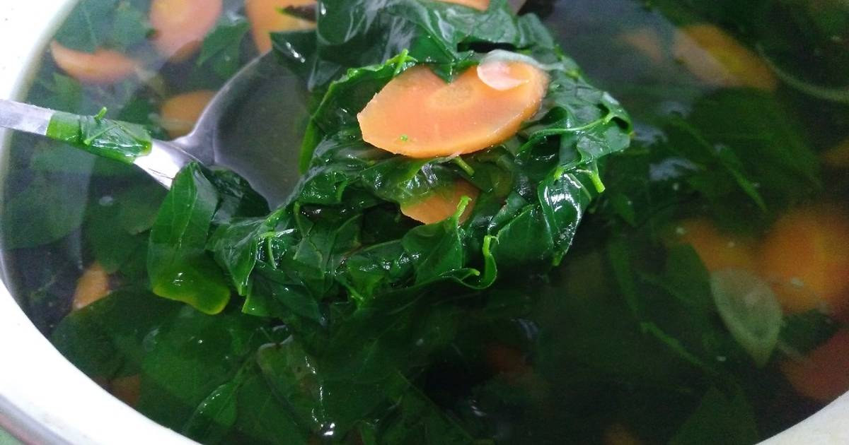 463 resep daun katuk enak dan sederhana - Cookpad