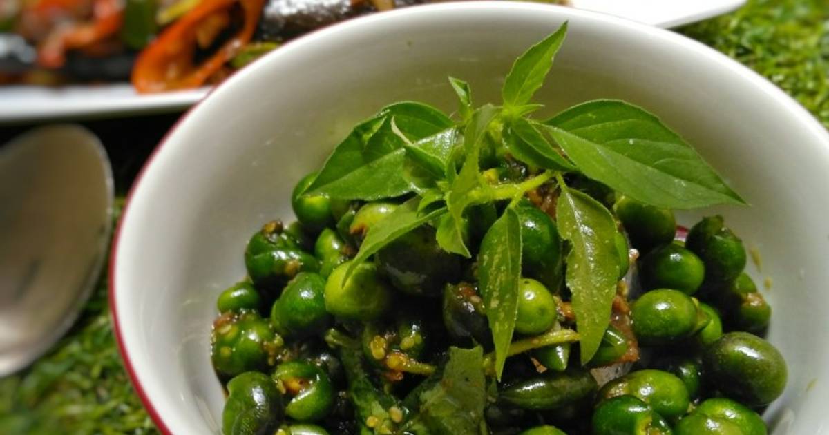 67 resep karedok leunca enak dan sederhana - Cookpad