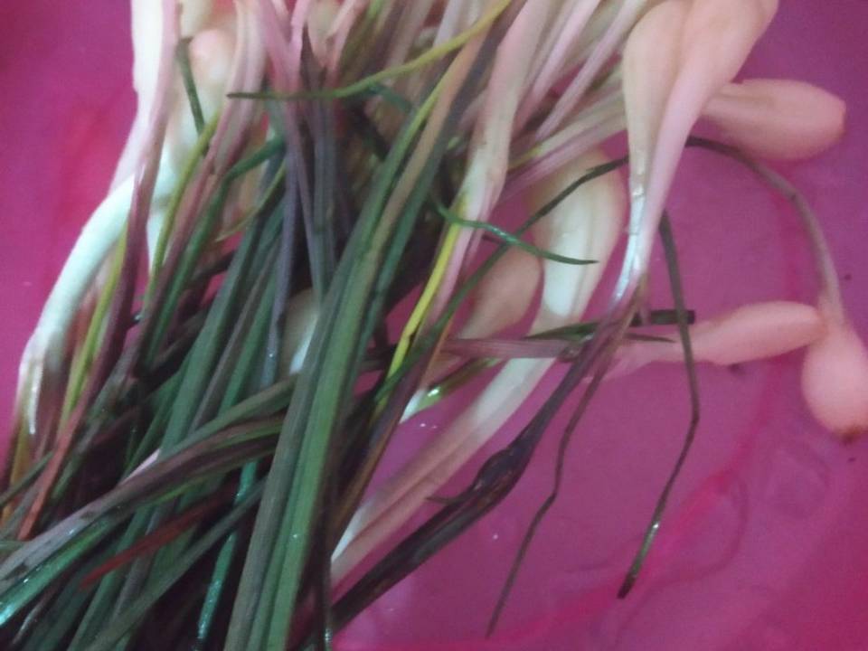 Sambal Ikan & Udang Bawang Jembak /Lokio » Budaya Indonesia