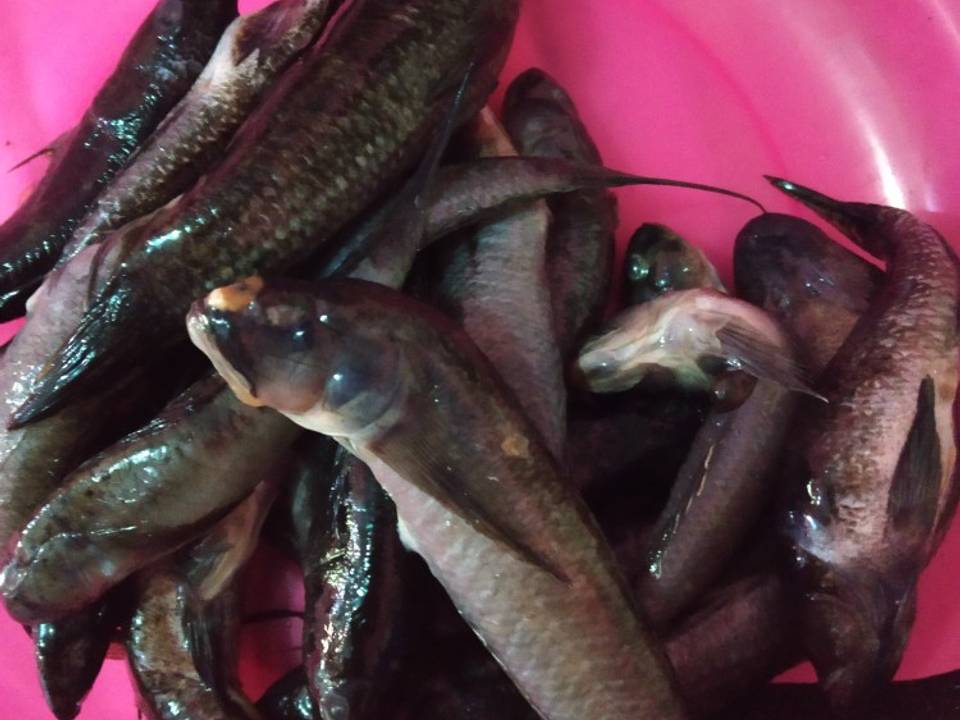 Sambal Ikan & Udang Bawang Jembak /Lokio » Budaya Indonesia