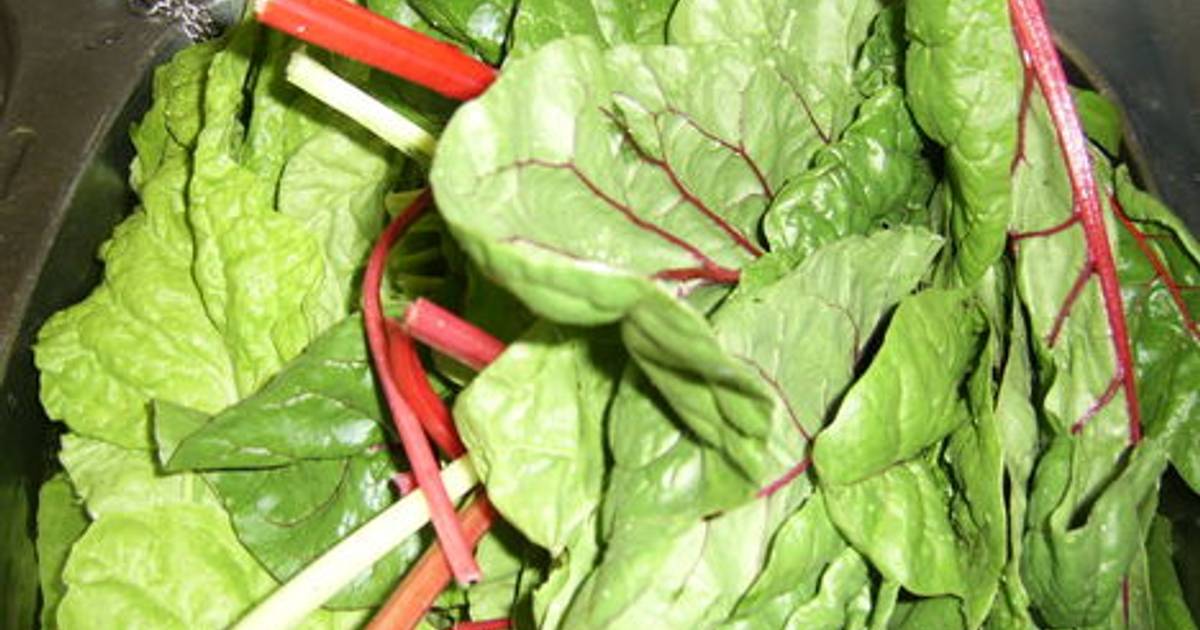 Mángold recept - 16 recept - Cookpad receptek