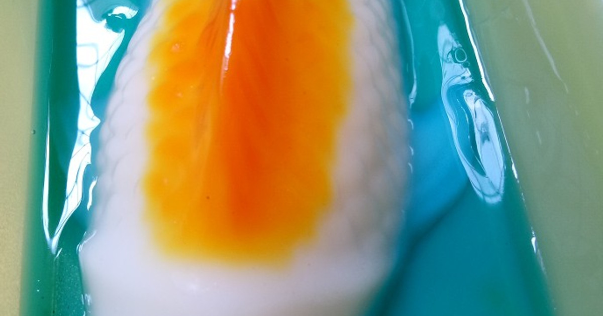 Resep Puding Ikan Koi oleh Maylisha - Cookpad