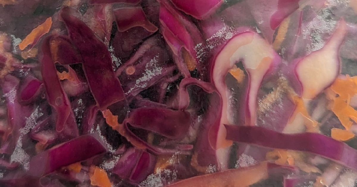 Modified Asian Dressing (No Soy) Slaw Recipe by Roxanne King