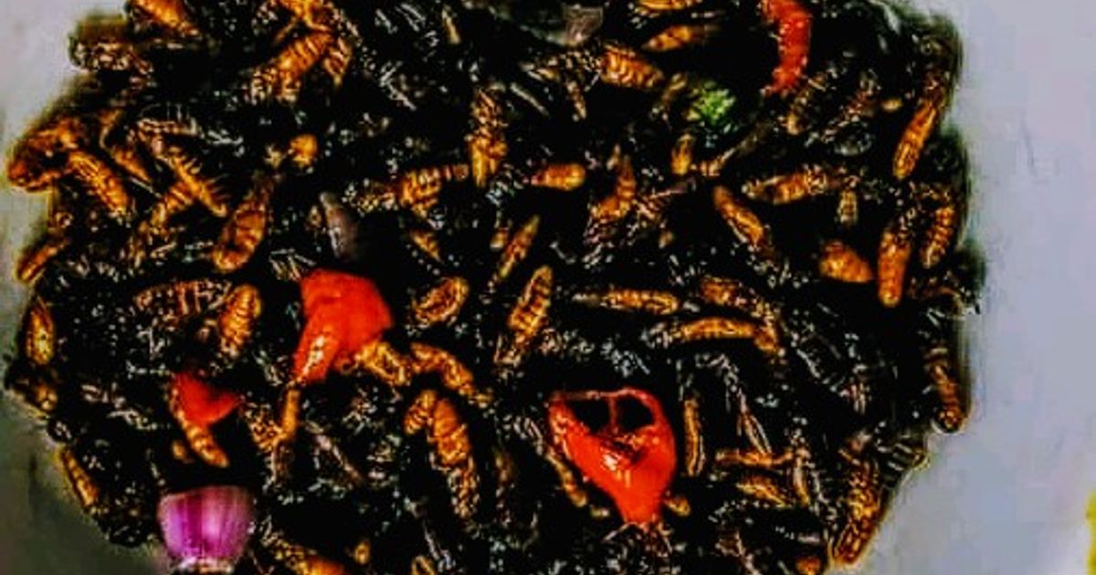 Fried Termite Recipe by Hawy - Cookpad