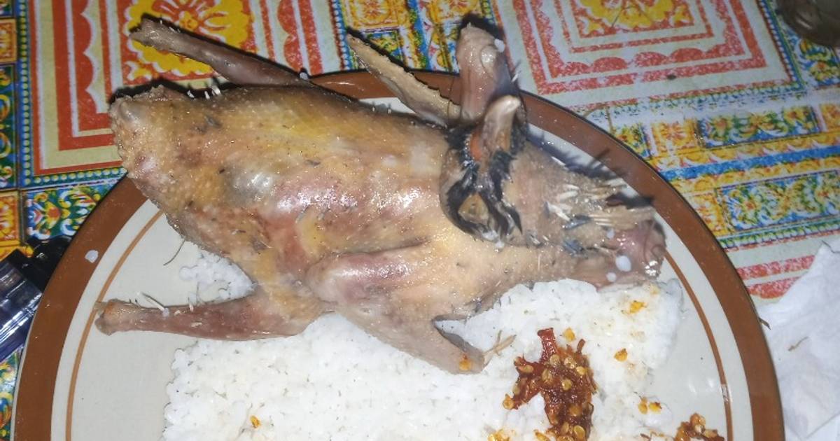 Resep burung dara merpati enak & empuk: Sederhana dan mudah dibuat