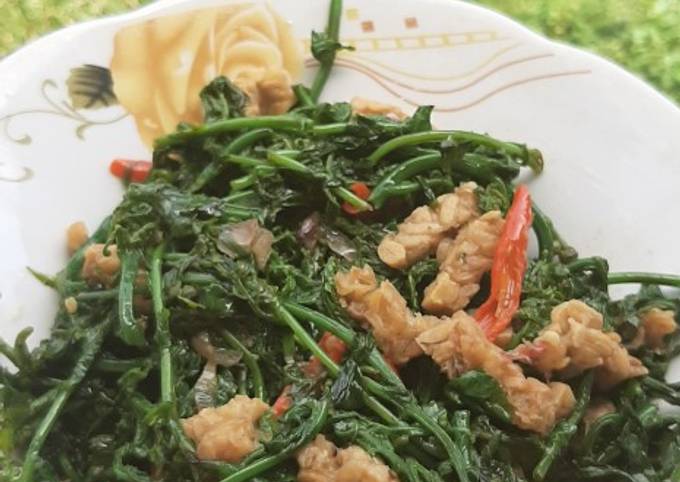 Resep Oseng Sayur Pakis dan Tempe oleh Resep Rumahan - Cookpad