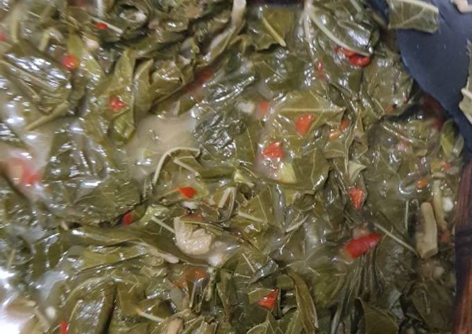 Resep Daun Singkong Masak Santan oleh lily - Cookpad Resep Daun Singkong Masak Santan oleh lily - Cookpad