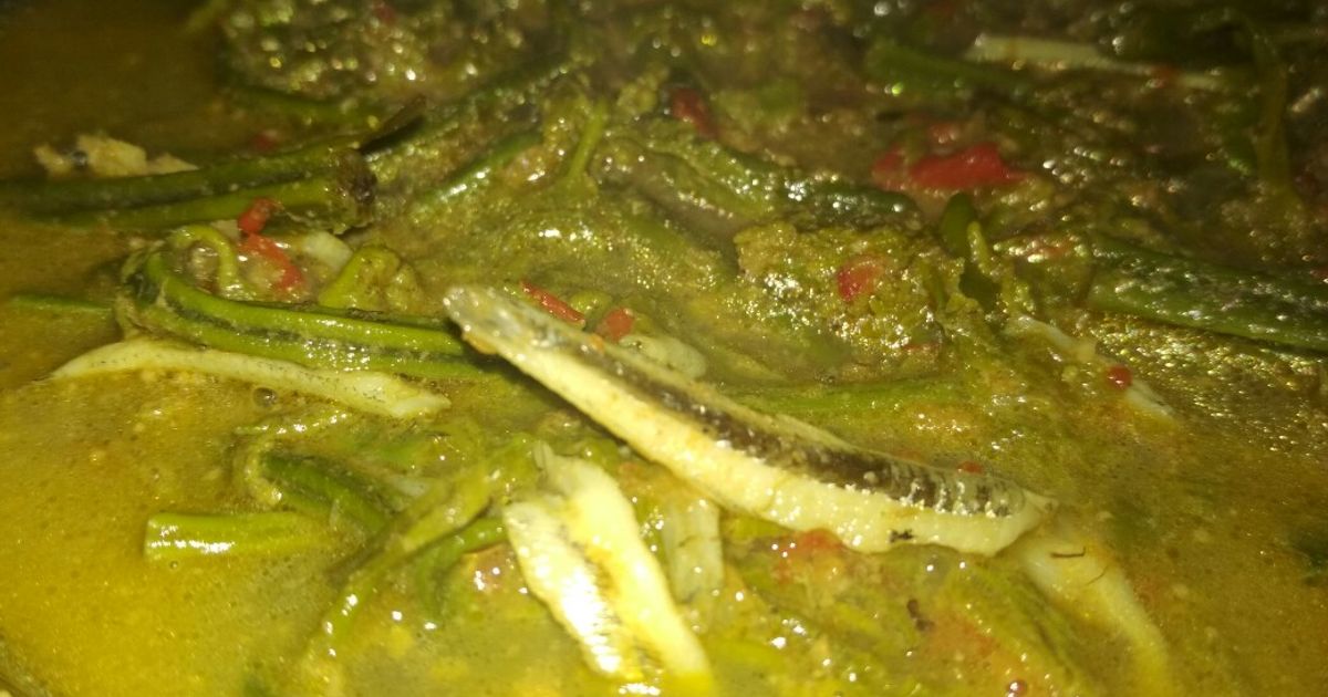 Resep Gulai Pakis Campur Teri, Masakan Rumahan Yang Sederhana oleh vira ...