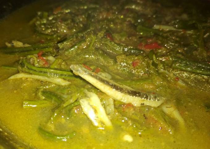 Resep Gulai pakis campur teri, masakan rumahan yang sederhana oleh vira ...
