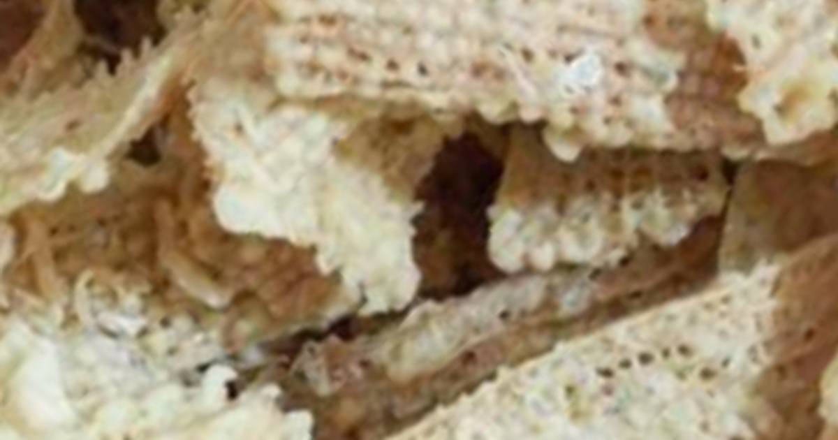 Resep Gedebog Pisang Krispi oleh Ameilya - Cookpad