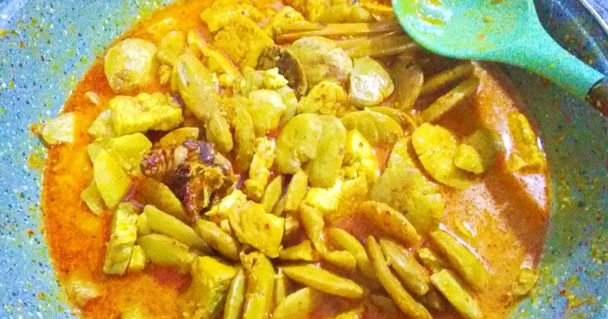 Resep Rendang jengkol kuah oleh Mama Yumna - Cookpad