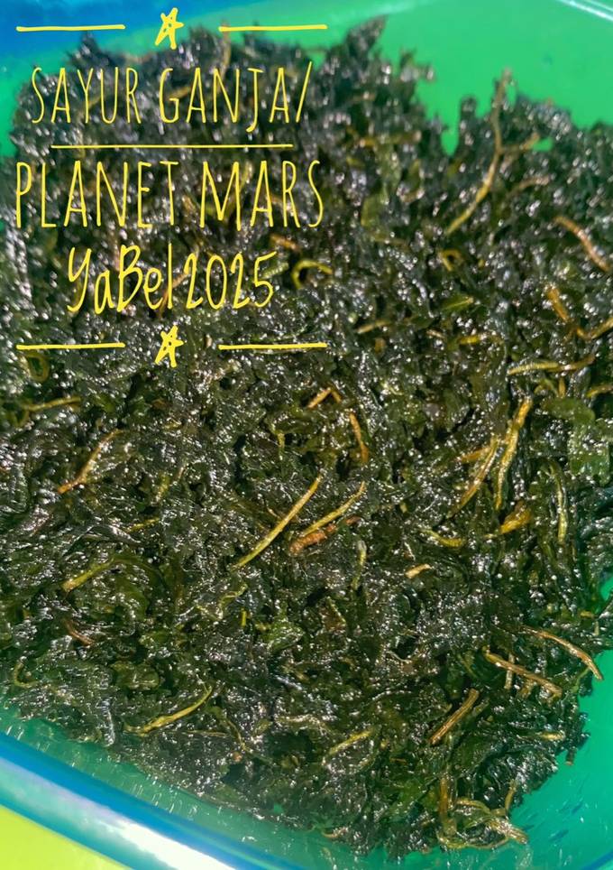 Resep Sayur kangkung goreng (sayur ganja/planet mars) oleh AyB - Cookpad