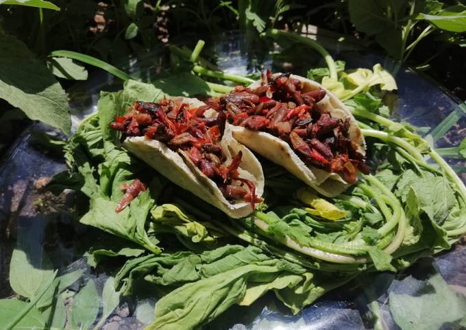 Tacos de flor de colorín (Sta ji ita tizavi) Receta de Hernandez ...