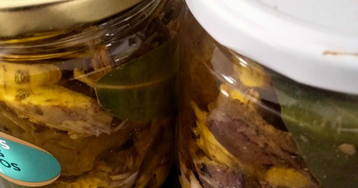 Sorprendentes recetas con melva en conserva para innovar en tu cocina
