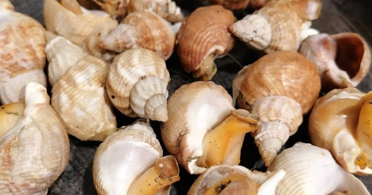 Bulots de Alexis Leroux - Cookpad