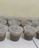 Resep pmt rumahan enak dan mudah - Cookpad