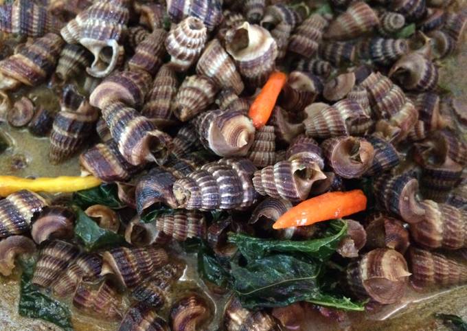 Resep Gulai tengkuyung (siput sedut) oleh Nike Try Meilinda - Cookpad