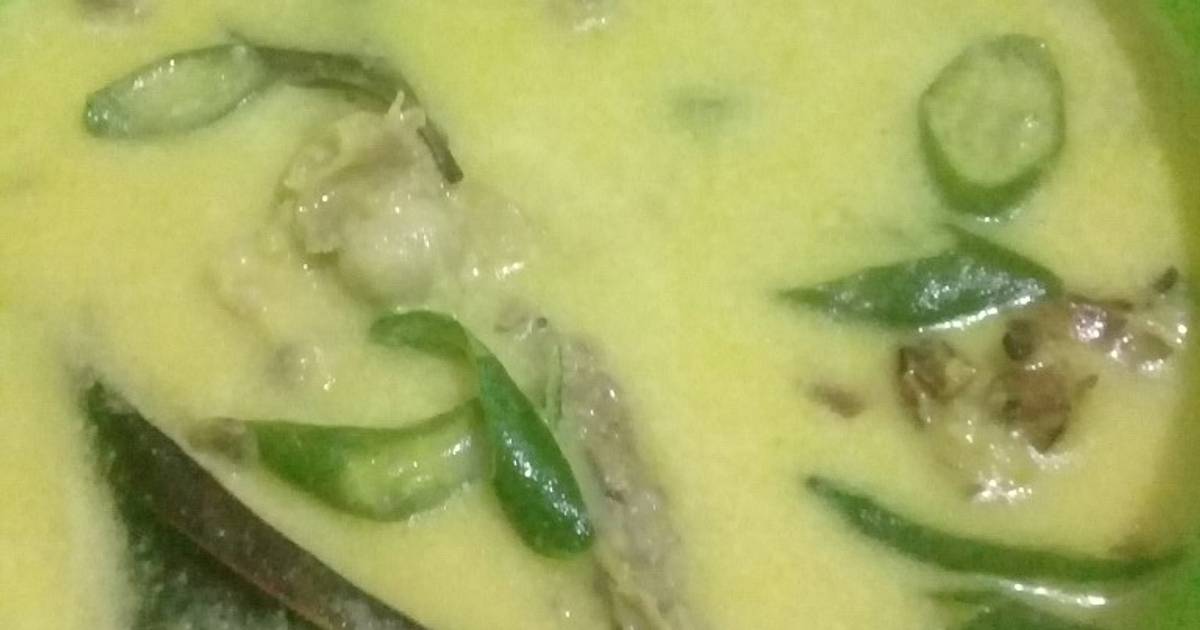 Resep Sayur lodeh ayam cabe ijo oleh Anik Ummu ayyub - Cookpad