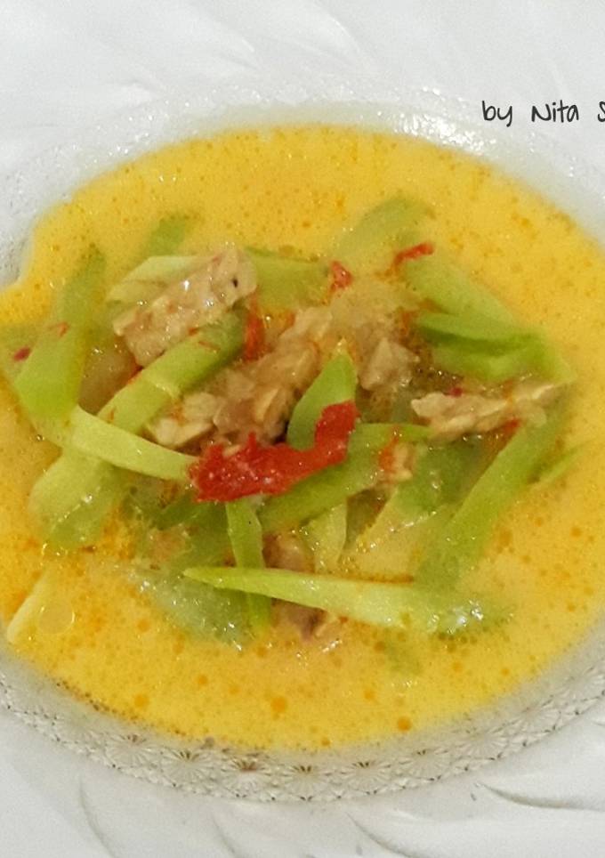 Resep Sayur Santan Tempe Labu Siam oleh Nita Shintia - Cookpad