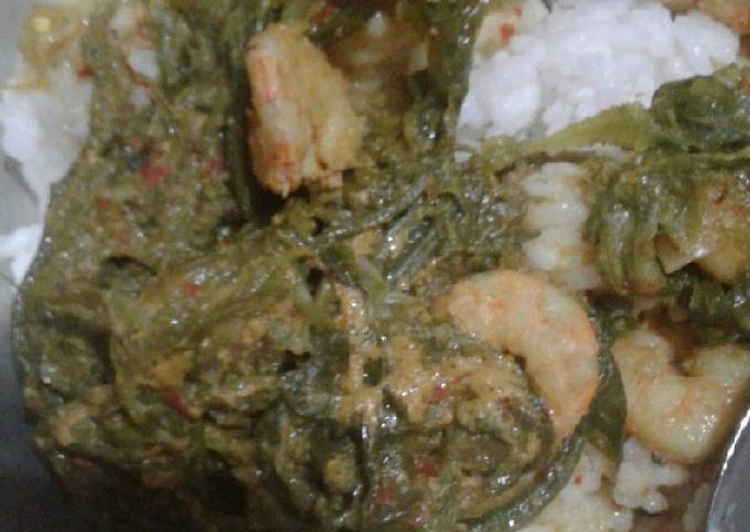 Resep Gulai pakis udang oleh Novi Aufa - Cookpad