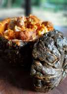 Zapallo - 6.132 recetas caseras- Cookpad