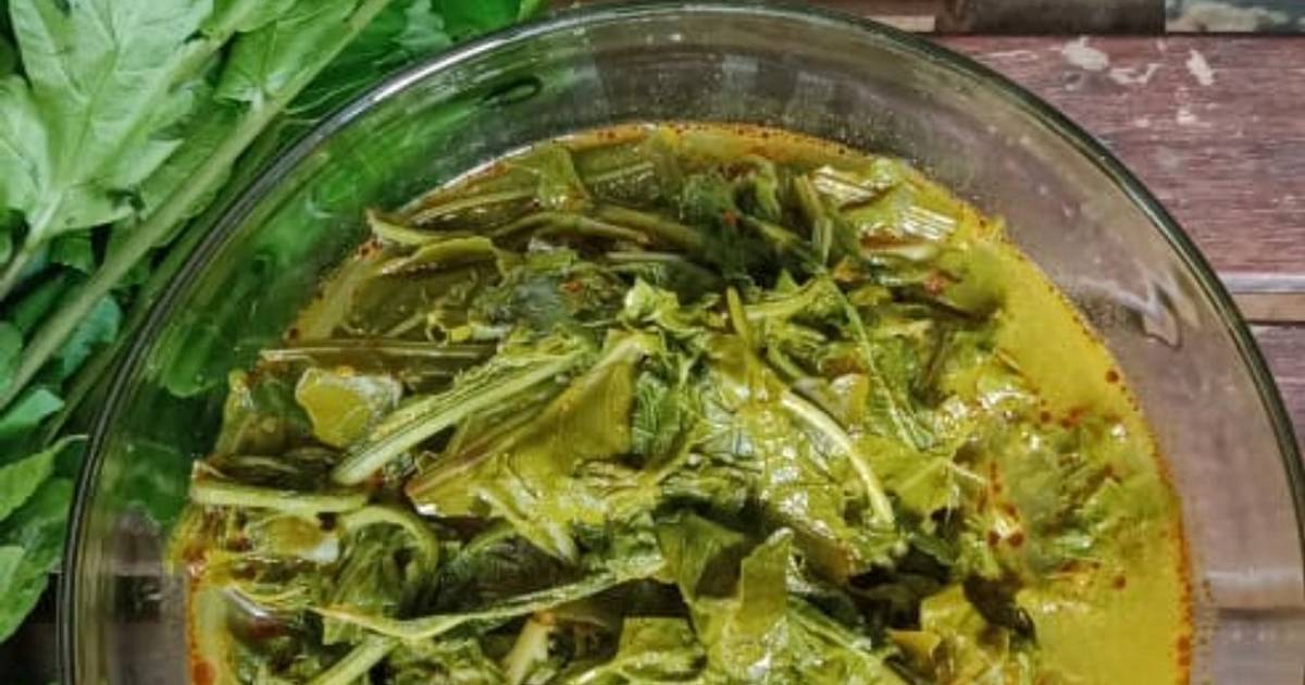 Resep Gulai Sayur Pakis oleh My'L Kitchen ( Libi ) - Cookpad