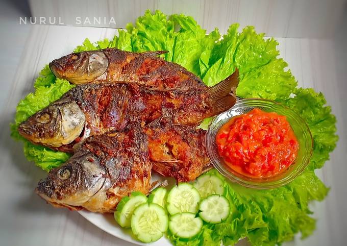 Resep Ikan Mas Goreng Sambal Tomat oleh Nurul_SaNia👨‍👩‍👧‍👦 - Cookpad