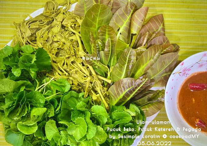 Resipi Ulam Celur Pucuk Beko, Pegaga & Pucuk Ketereh oleh Sesimple ...