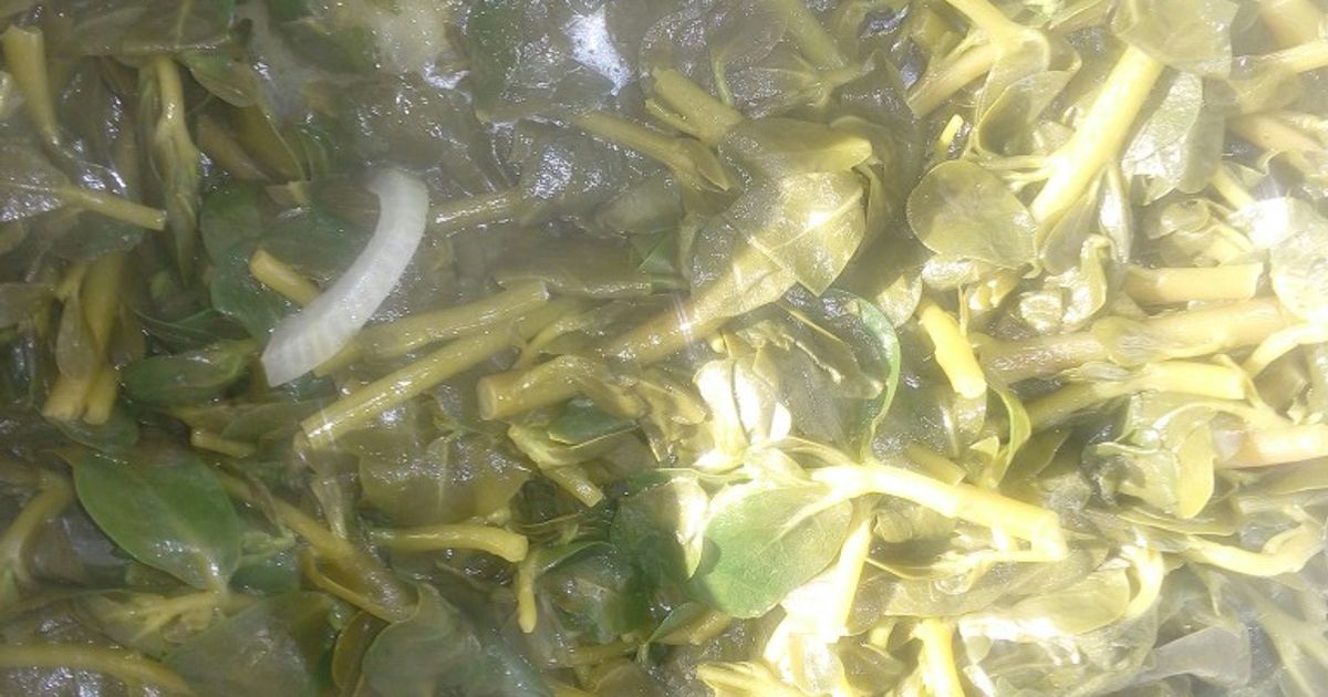 Pollo En Cubitos Con Verdolagas Y Salsita Verde A La Mario, S Receta de ...