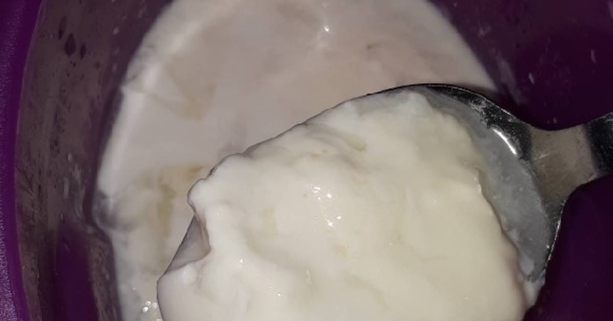 Resep Yoghurt Homemade oleh Anid - Cookpad